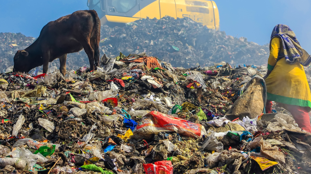 Important step towards ending waste colonialism: EU agrees to ban the ...