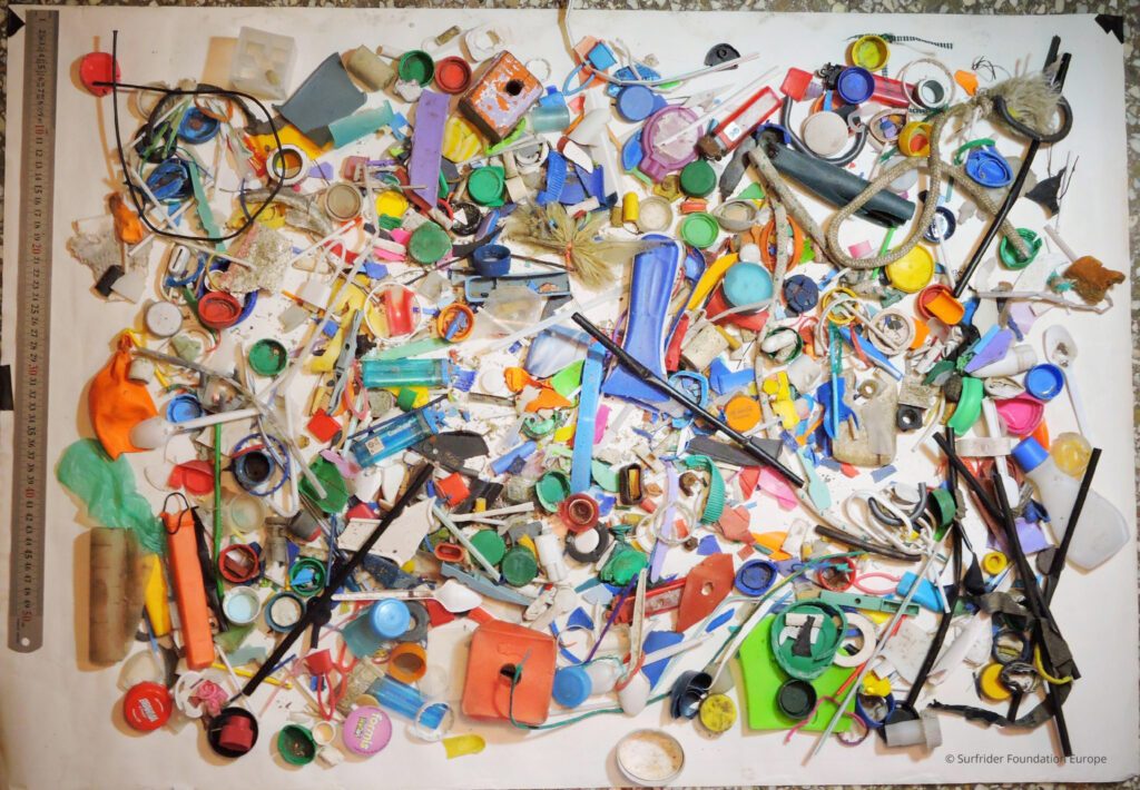 Rethink Plastic alliance assesses Single-Use Plastics Directive ...