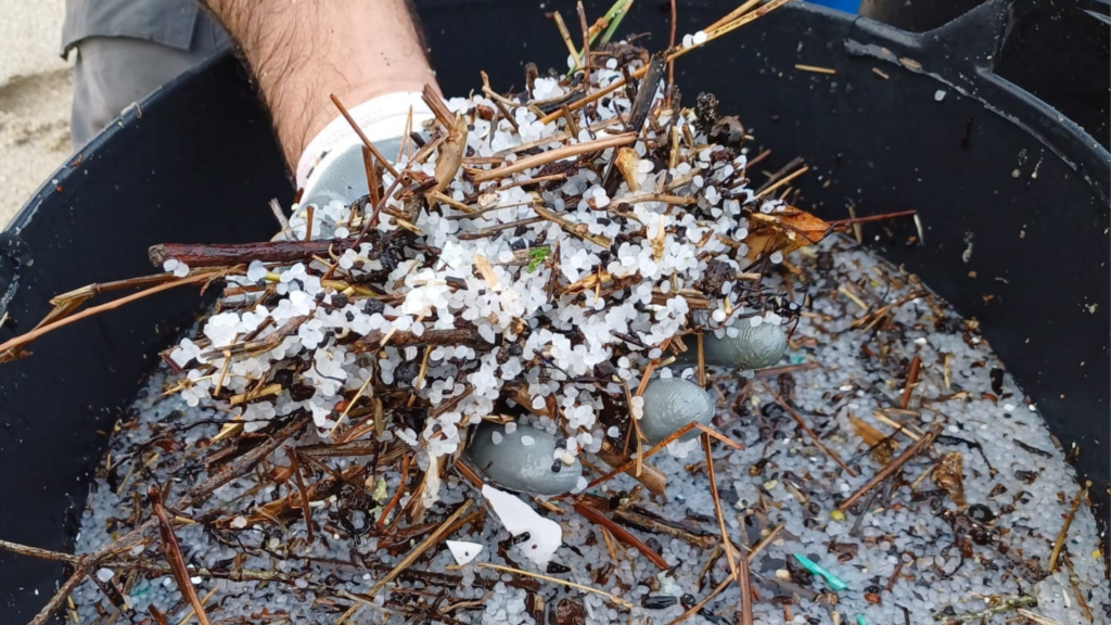 Towards a future free from plastic pollution - Rethink Plastic