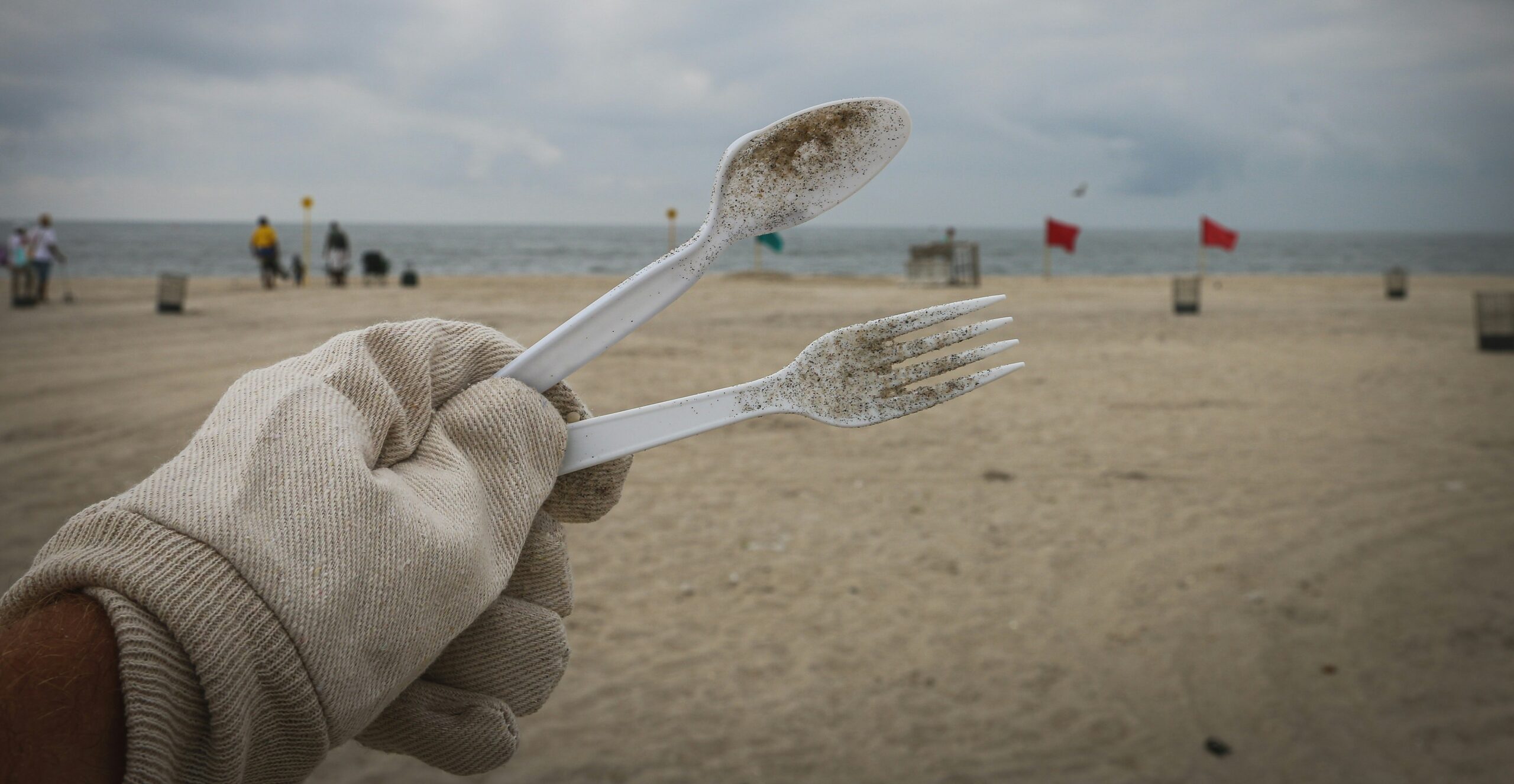 Rethink Plastic provides feedback on the evaluation of the Single-Use ...